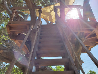 "Tree House Platforms - Tree Deck Builders"